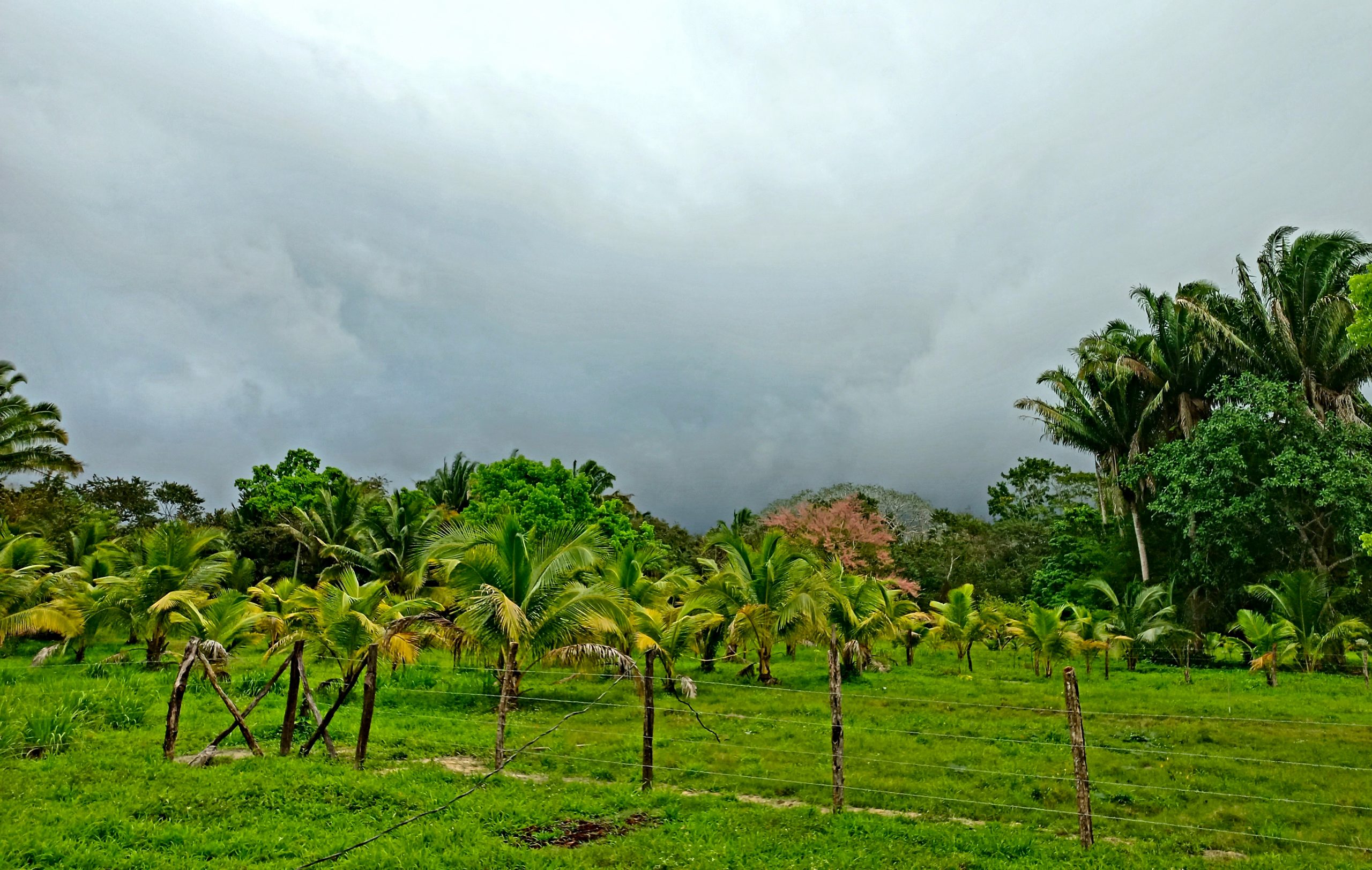 Belize Part 21 (April 5 to 12) - Safari Arie