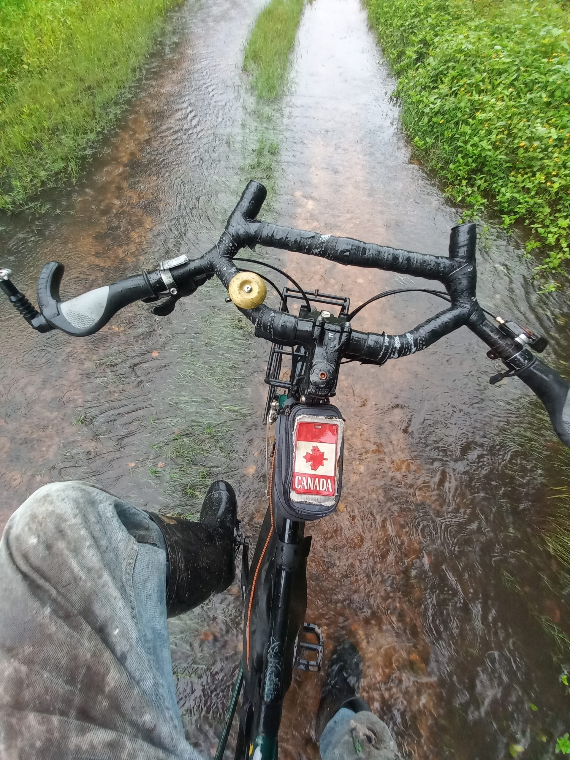 Belize Part 30 (June 13 to 20) - Safari Arie