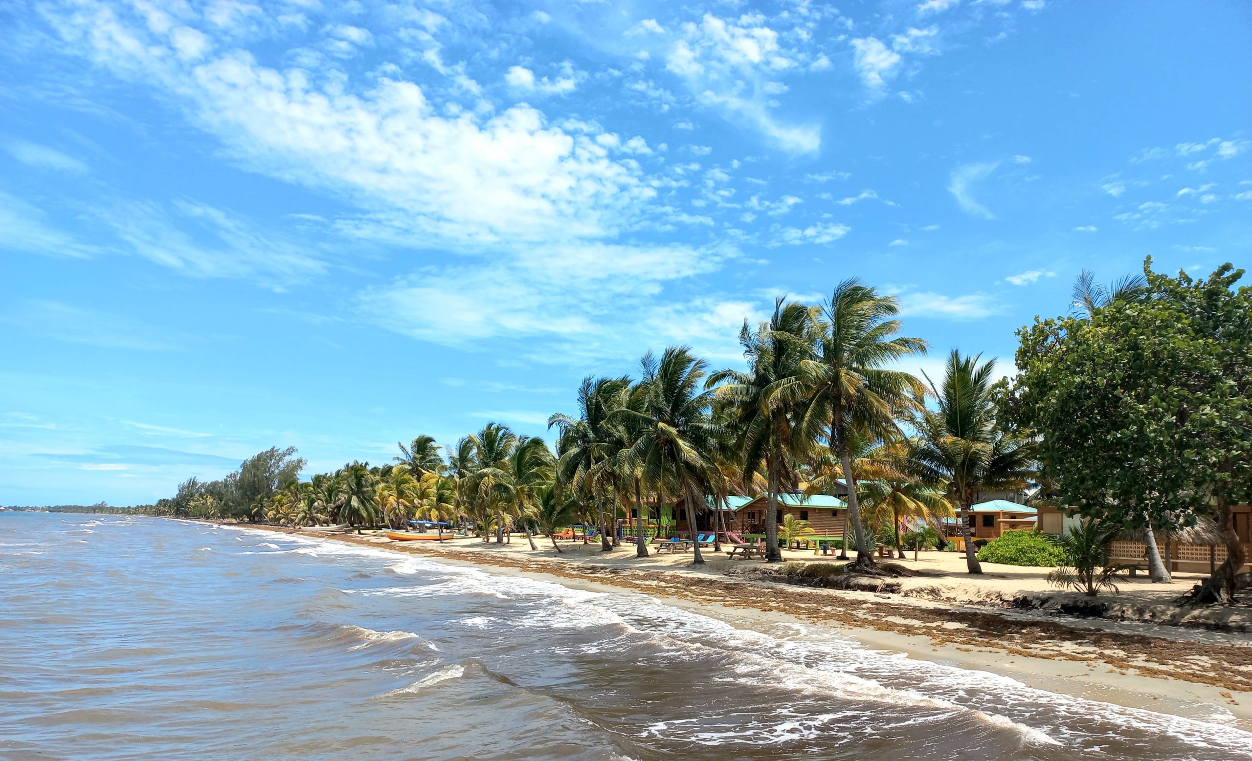 Belize Part 34 (July 10 to 14) - Safari Arie