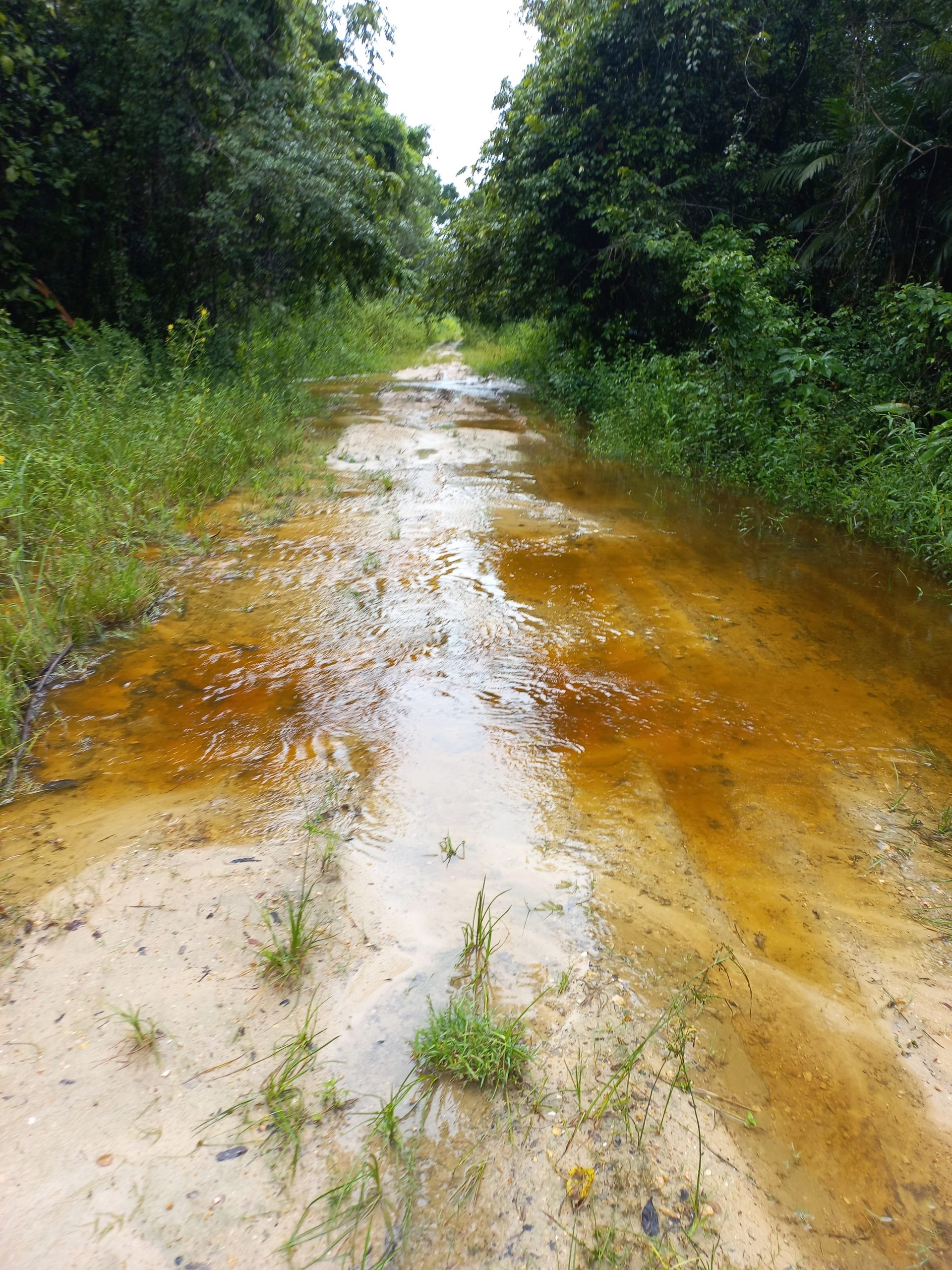 Checking In - April 30, 2023 - Safari Arie