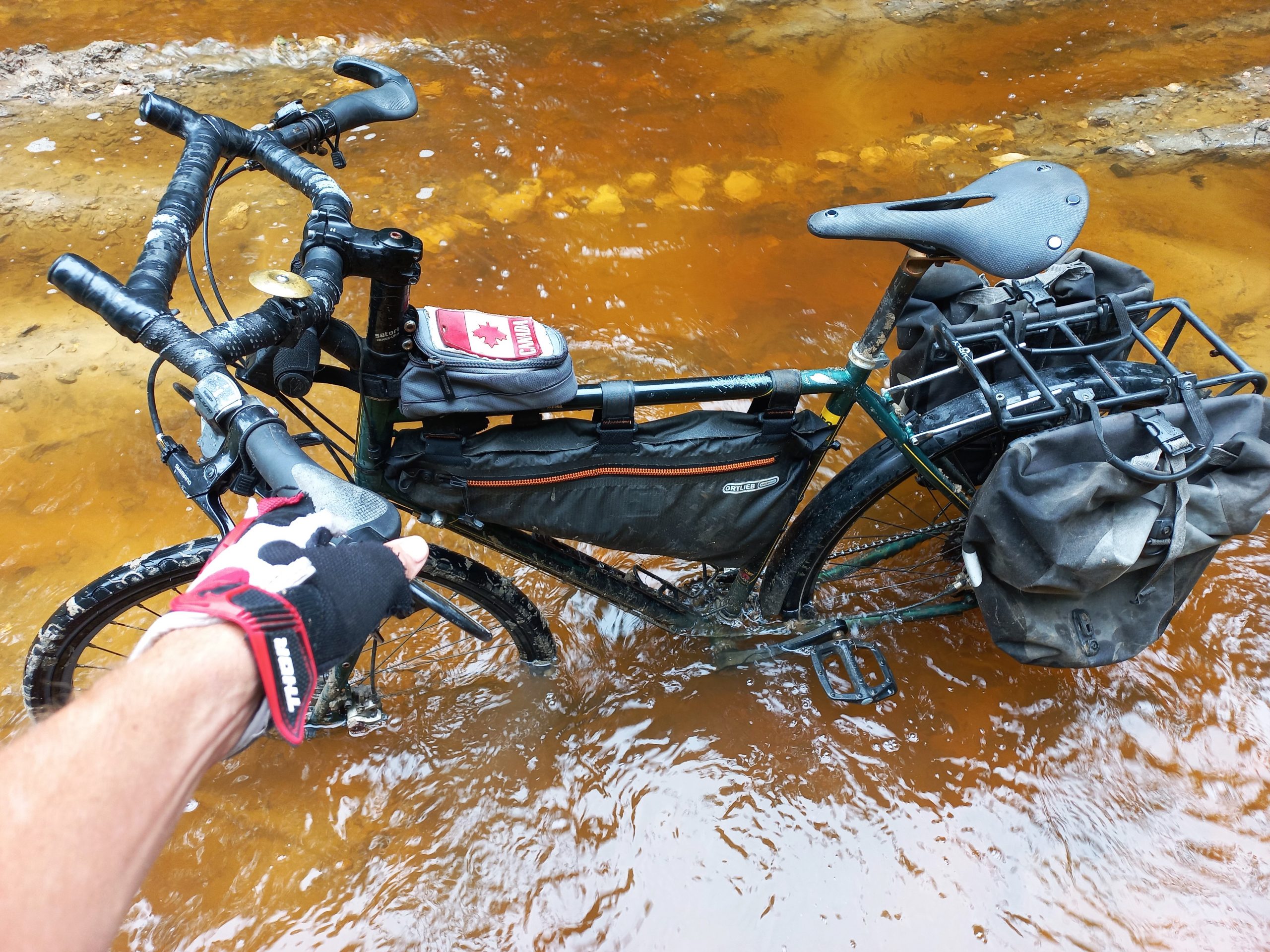 Managing the Rainy Season in the Belize Jungle: Tips for Daily Life ...