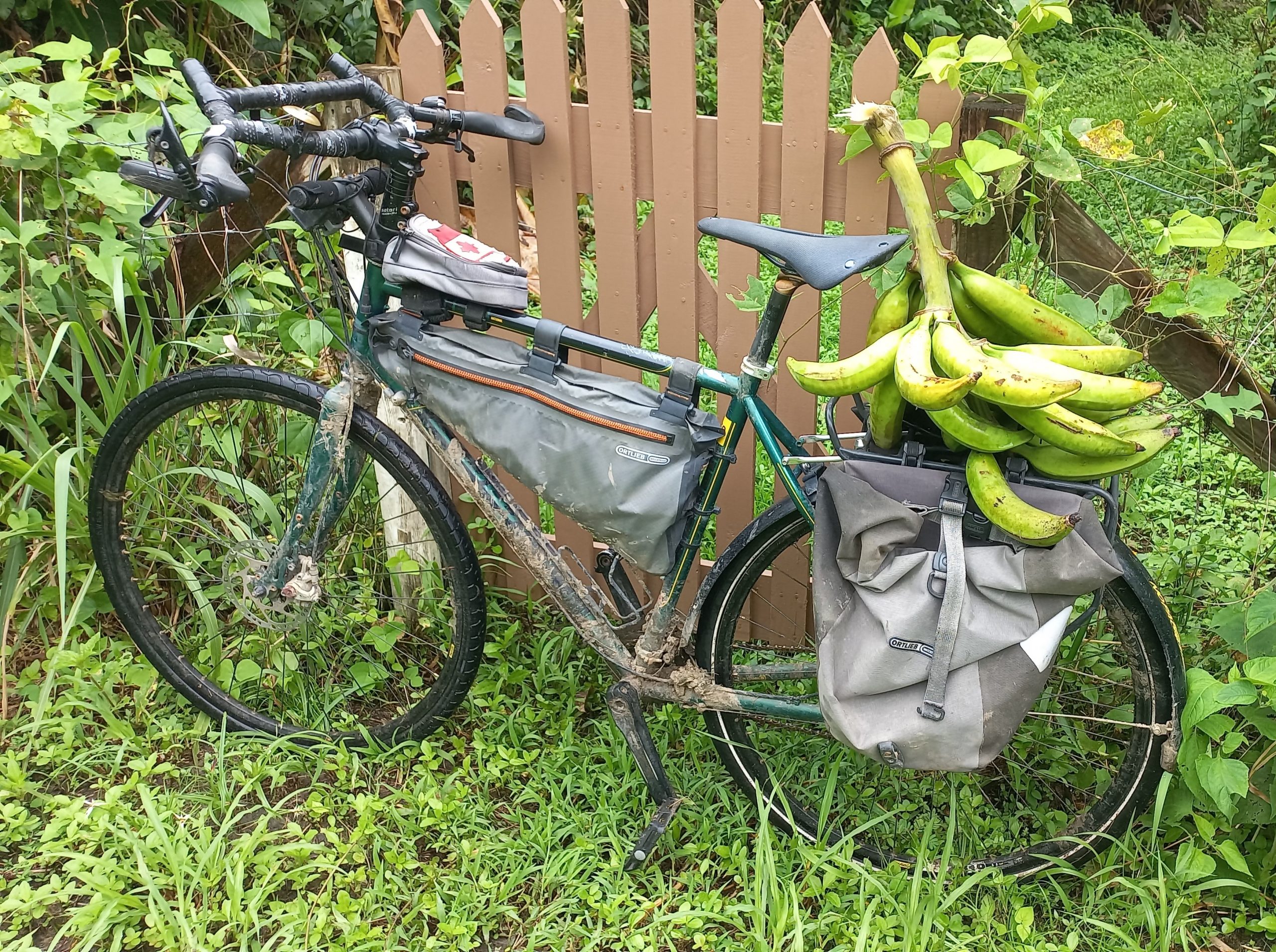 Belize Part 56 (Nov 25 to 29) - Safari Arie