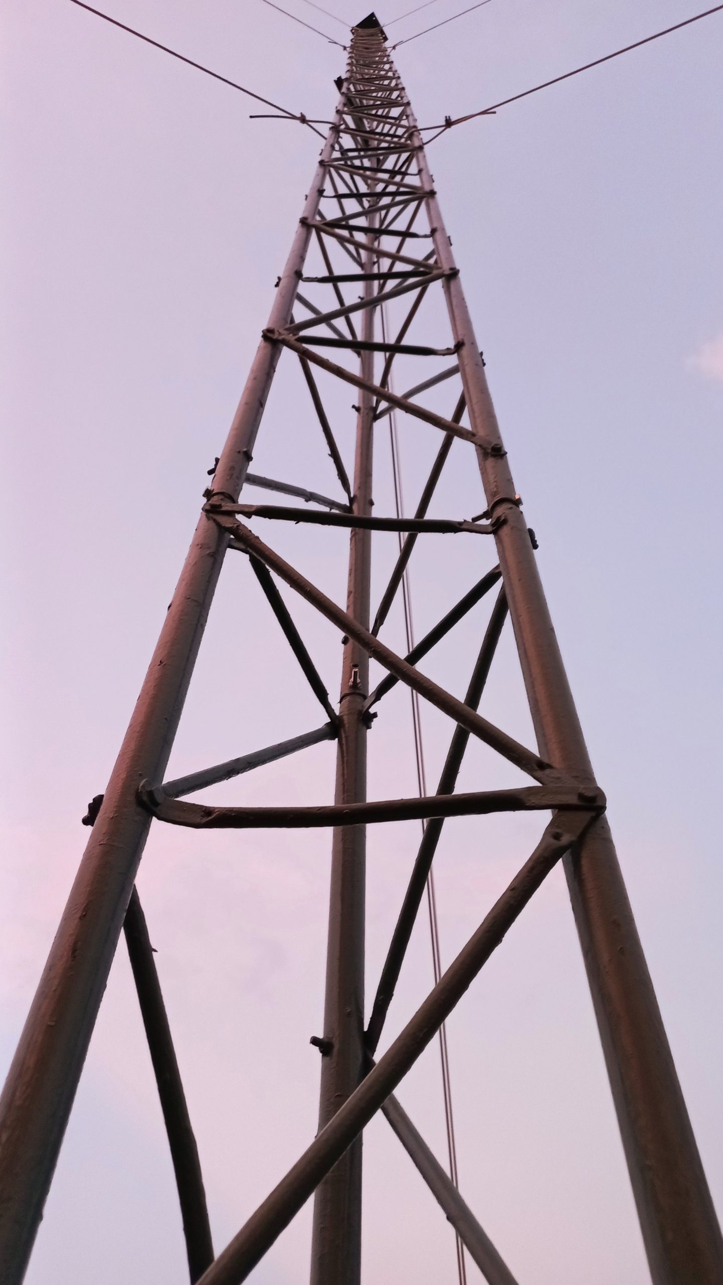 Belize Part 82 (June 1 to 3) - Safari Arie