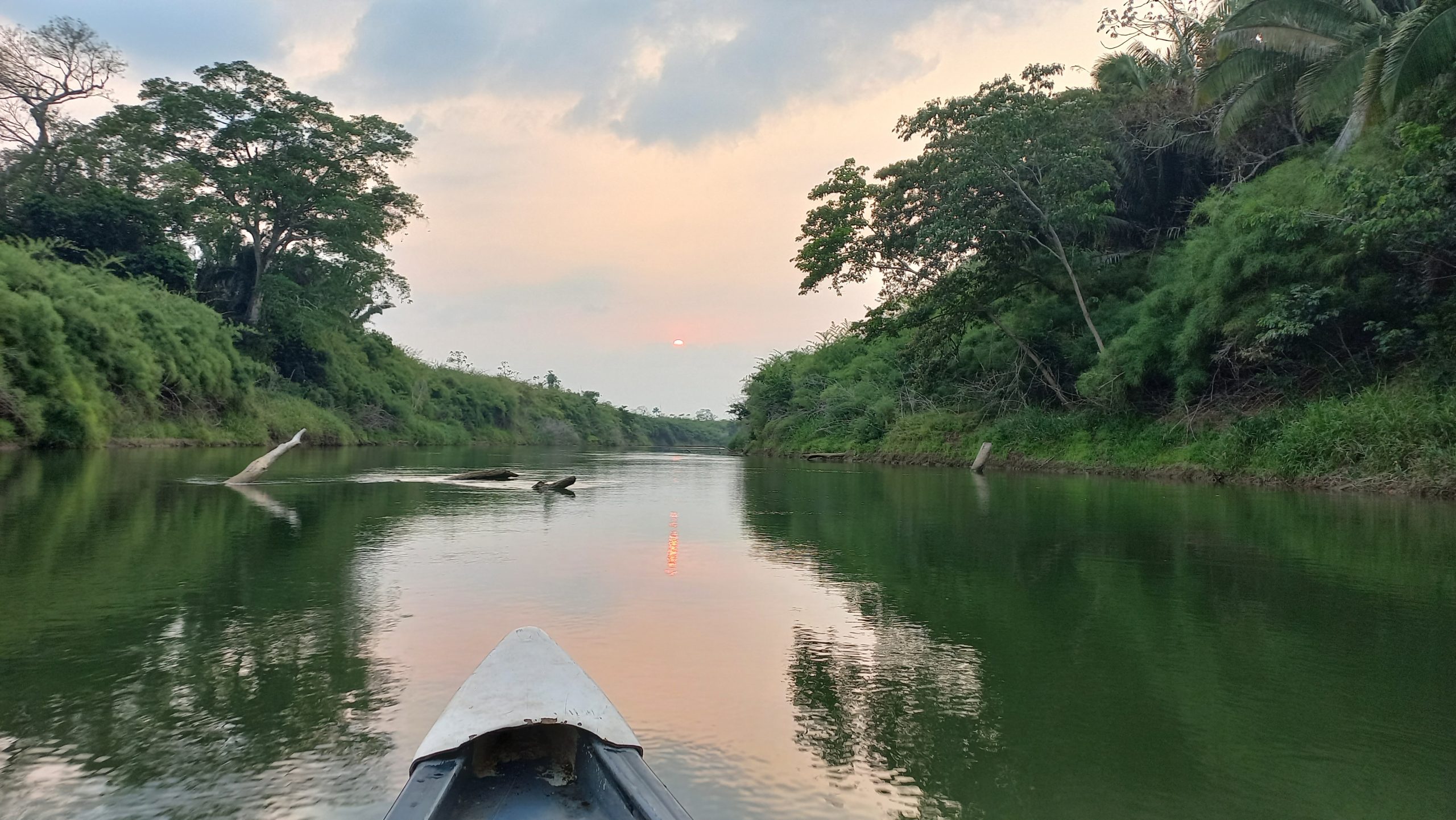 Belize River Canoe Adventure - Post #2 - May 25 to 27, 2024 - Safari Arie