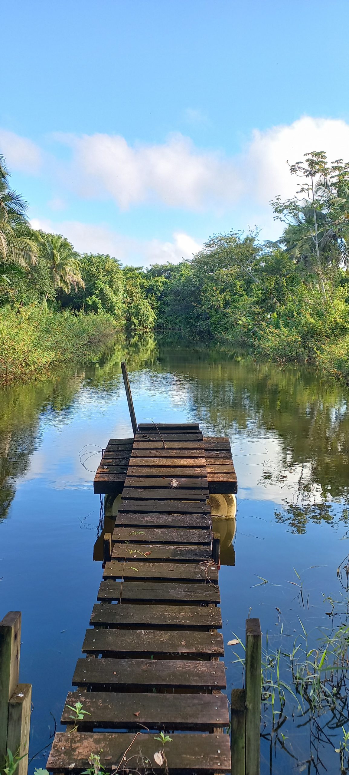 Belize Part 143 (Nov 26 to Dec 1) - Safari Arie