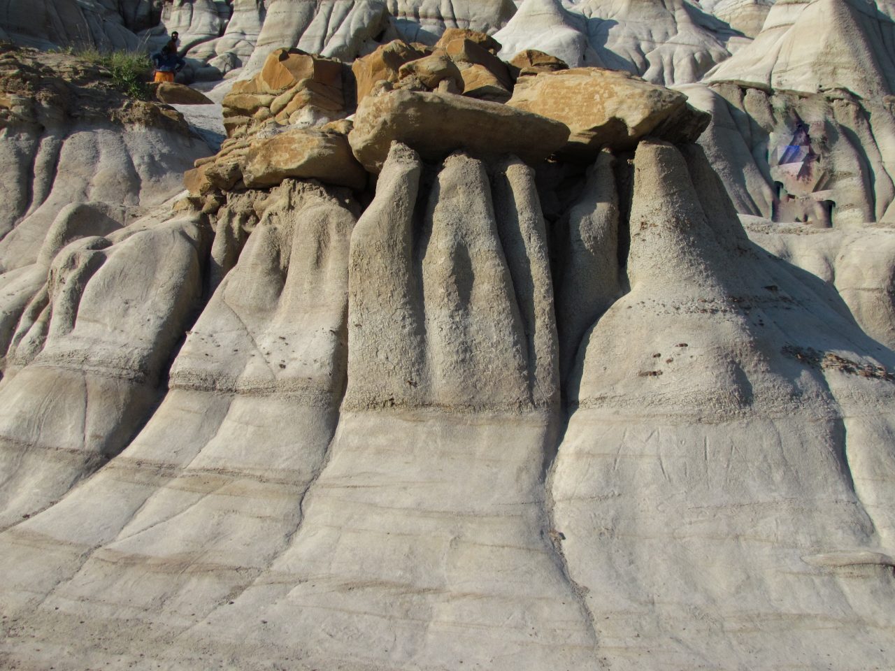 Alberta - The Hoodoos to Calgary - August 2 to 8 - Safari Arie
