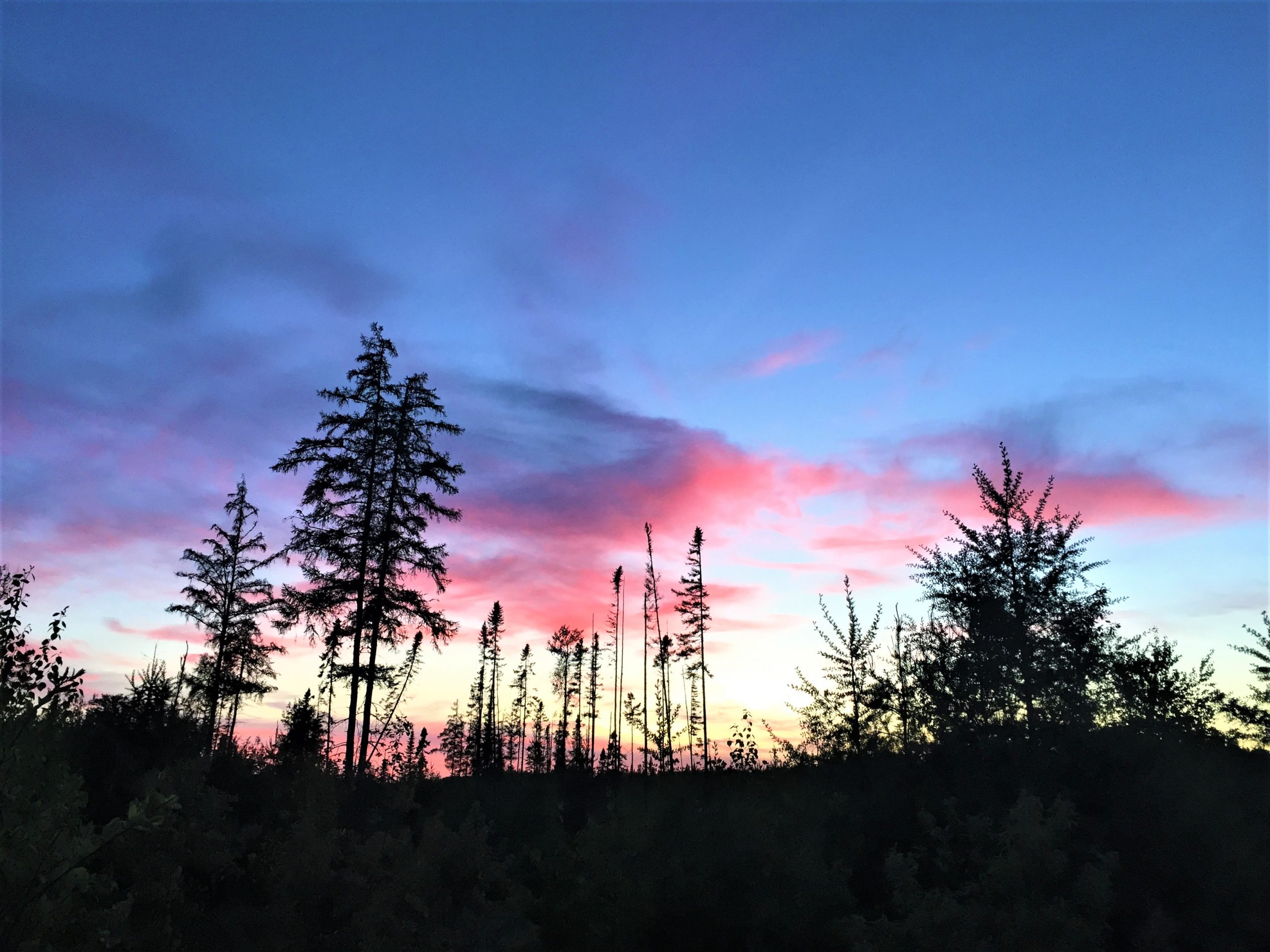 Further west into Northern Ontario - June 11 to 17, 2020 - Safari Arie