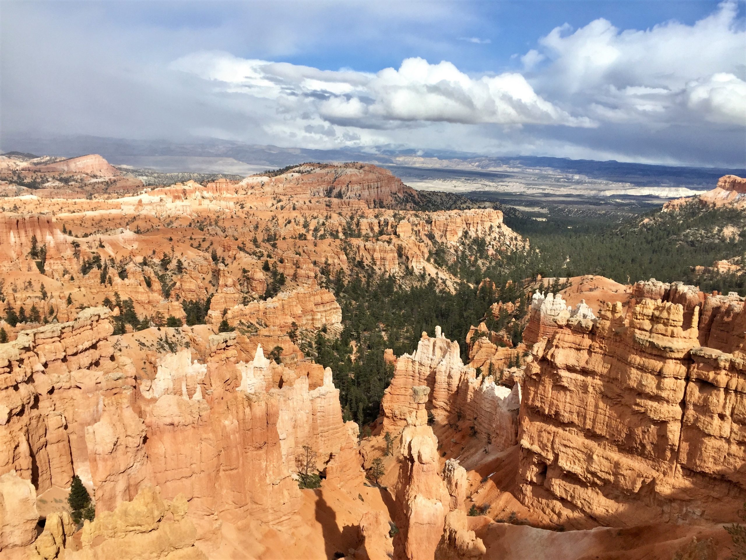 Utah Part 2 (April 14 to 18) - Safari Arie